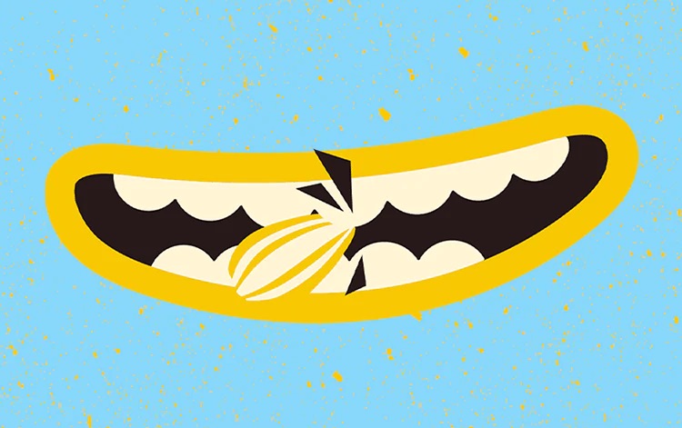 ᐅCravies: Snack-Alternative aus Sonnenblumenkernen - Die Höhle der ...