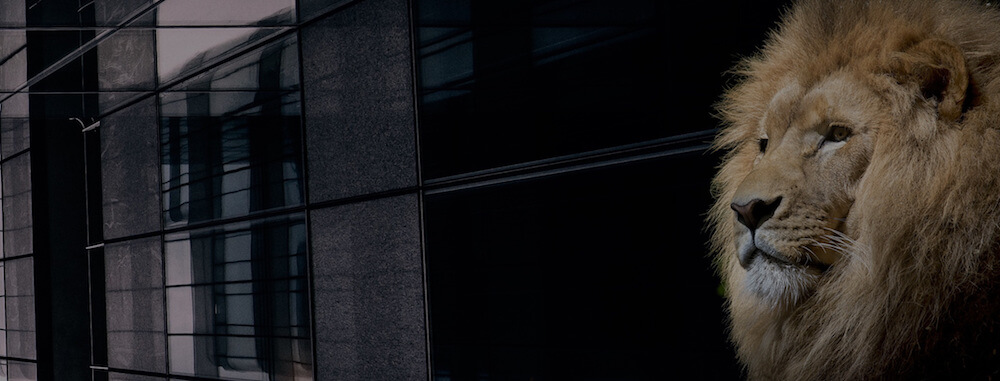 DHDL Staffel 17 (2025) - Die Höhle der Löwen (DHDL)