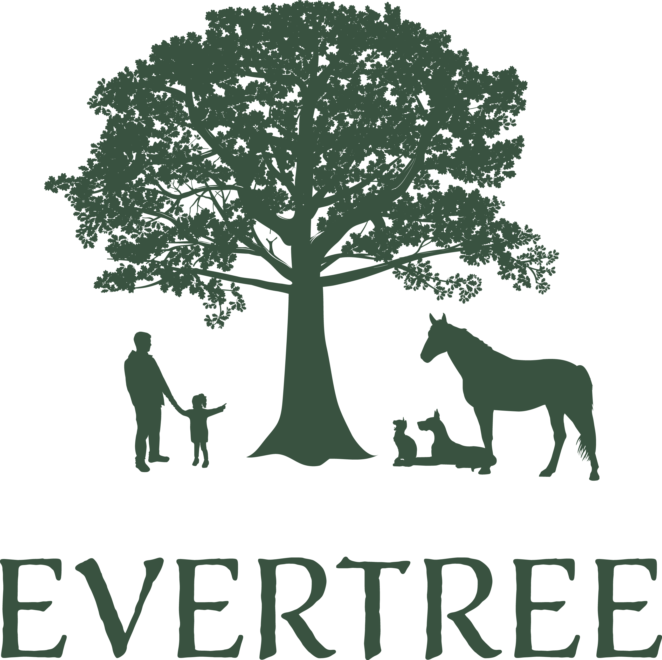 ᐅ Evertree: Biologisch abbaubare Urne - Die Höhle der Löwen (DHDL)
