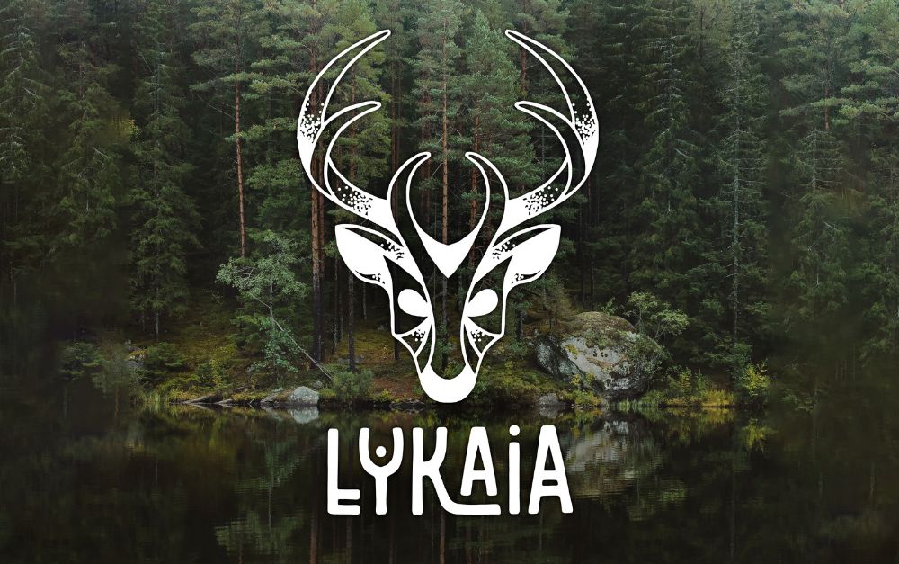 Lykaia: Pilz-Kaffee und Pilz-Kakao - aus Die Höhle der Löwen (DHDL)